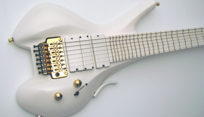 Custom instruments – BassLab – Basses & Guitars