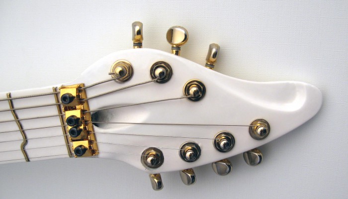 Custom instruments – BassLab – Basses & Guitars