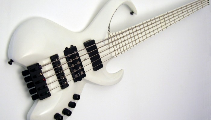 STD-Bass – BassLab – Basses & Guitars